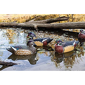 Flambeau Outdoors 8018SUV Storm Front 2 Wood Duck Decoys, Classic Floaters - 6-Pack