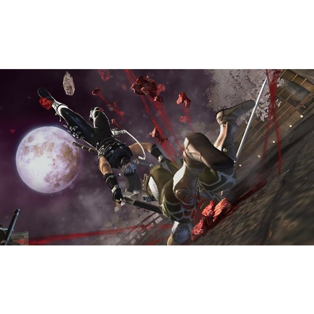 Ninja Gaiden II (Renewed)