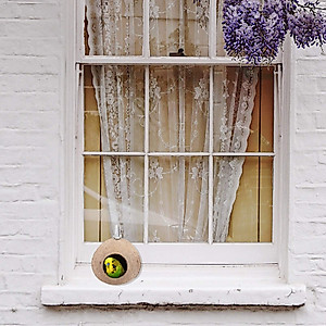 balacoo Parrot Toys Parrot Toys Bird Toy Shell Bird House Natural Hanging Bird House Bird Hut Bird Bed House Toy Cage Toy for Hamster Parrot Macaw with Screw Parrot Toys Bird Toy Bird Toy