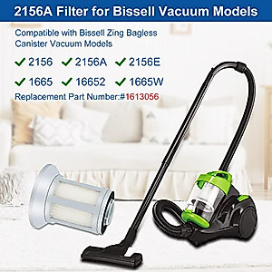 Filter Replacement Compatible with Bissell 2156, 2156A, 1665, 16652, 1665W Zing Canister Vacuum Cleaner, Replace Part 1613056, 2PCs 2156A Filter + 4 Post Motor (2PCS)
