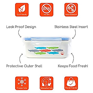 Innobaby Keepin' Fresh Stainless Bento Snack or Lunch Box with Lid for Kids and Toddlers 15 oz, BPA Free Food Storage, Blue Alligator