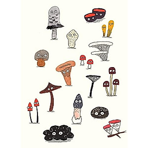 The Mushroom Fan Club