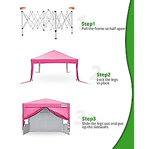 Quictent Upgraded 10'x10' Pop up Canopy Tent with Detachable & Interchangeable Sidewalls Instant Outdoor Gazebo Ez Party Tent Enclosed Waterproof (Pink)