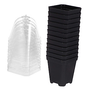 GANAZONO Plant Propagation Plant Propagation 12 Sets of Plastic Nursery Pots with Humidity Dome Flower Plant Container Starting Pot Cup for Flower Clear Pot Outdoor