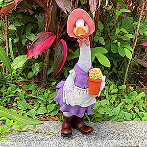 iRonrain Garden Statues Gardener Couple Duck, Indoor Outdoor Decorations Cute Ducks Art Décor Goose Figurine Ornament for Yard Home Garden Patio and Office (Female)