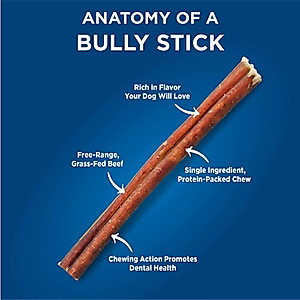 Barkworthies Odor Free Bully Sticks - 2 Pack (5 ct 6 inch) Premium Long Lasting, Protein-Packed, Grain Free Dog Treats and Dog Chews for Aggressive Chewers - Promotes Healthy Teeth for Dogs - E-Book