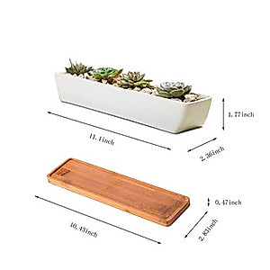 11inch Long Rectangle White Ceramic Succulent Planter Pots/Mini Flower Plant Containers with Bamboo Saucers. Product Size:11x2.36x1.77inch,not Include The Plant. (Long Rectangle)