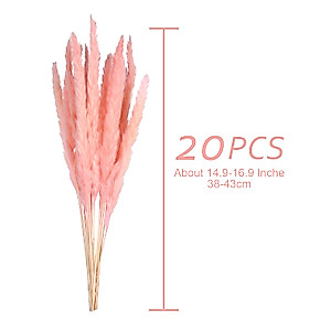 Omldggr 20 Pieces Natural Dried Pampas Grass Natural Dried Flowers Dried Reed Grass for Home Garden Office Party Wedding Decor(Pink)