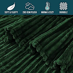 PAVILIA Cozy Fleece Blanket Throw | Fuzzy, Super Soft, Plush, Luxury Flannel Throw | Warm Ribbed Microfiber Blanket for Sofa Couch Bed (Emerald Green, 50x60 inches)