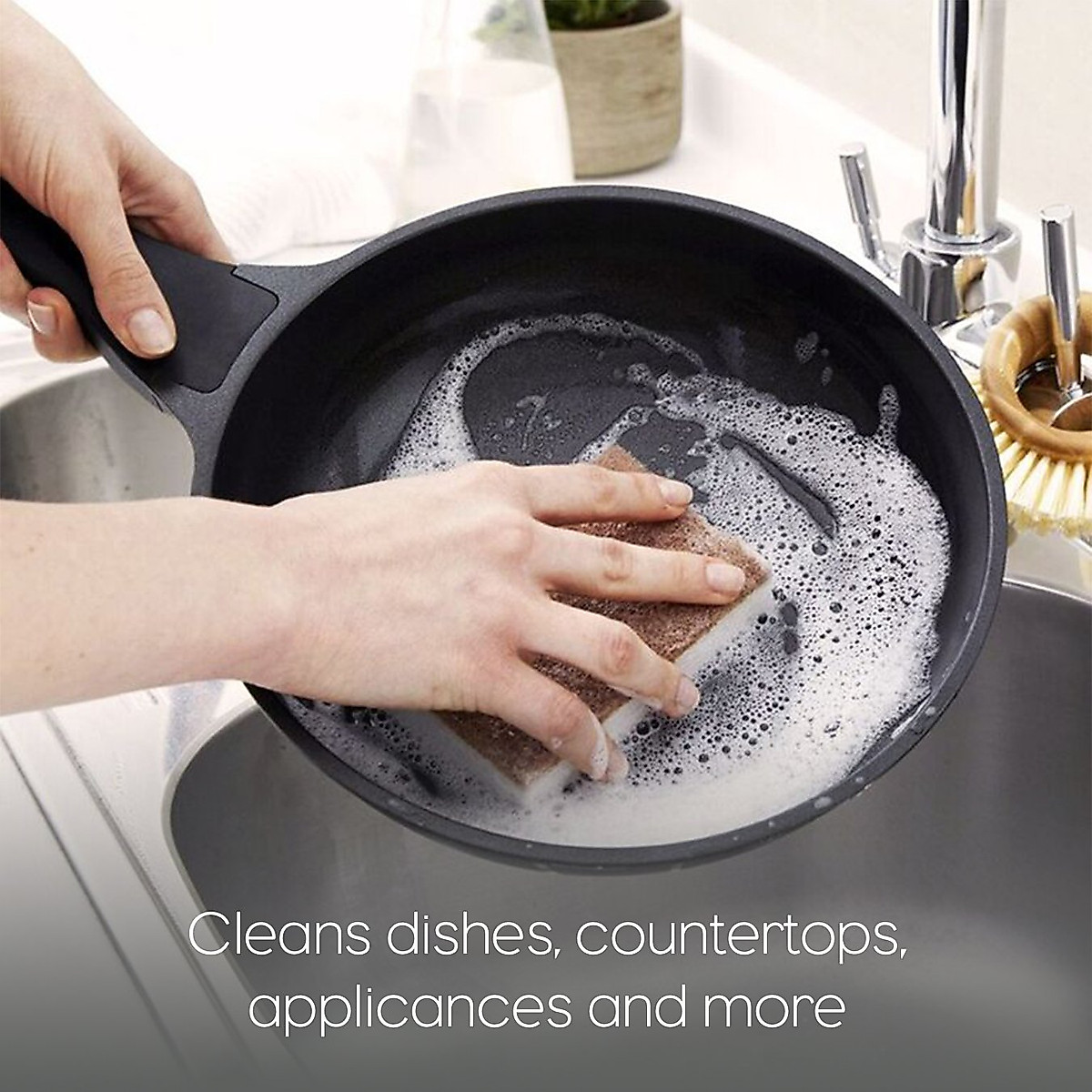 Full Circle In a Nutshell Walnut Scrubber Sponges, Non-Scratch, Set of 2 (Pack of 6)