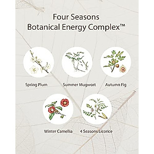 Sooryehan THE SAGA OF SOO BOTANICAL ENERGY - Korean Skincare Gift Set, Botanical Energy Boosting Toner, Balancing Moisturizer, Cream, Foam Cleanser (360 ml / 12.17 Fl Oz) by LG BEAUTY