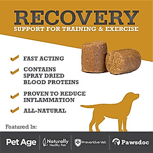 WINPRO Recovery Chews for Dogs, Plasma-Powered for Active Dogs, Immune System Support, and Dog Training Support for Competition and Sport Muscle Recovery and Agility, 60 Count, Made in USA