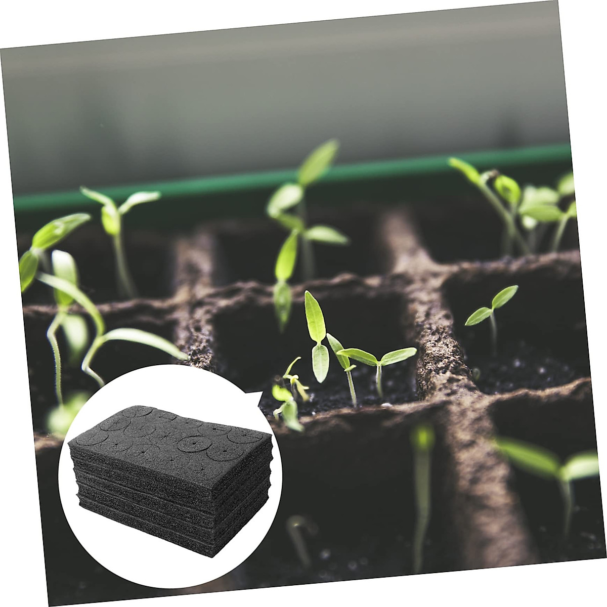 DECHOUS 150 Pcs Foam Colonization Sponge Germination Sponge Growing Sponge Hydroponic Sponges Plant Nursery Pot Nursery Pots Sponge Plant Germination Kits Hydroponics Accessories