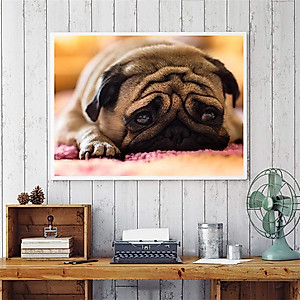 HAPPIShare 5D Diamond Painting Full Drill, Puppy Dog Owl Cat Diamond Painting Kits for Adults Kids Crystal Rhinestone DIY Arts Craft for Home Wall Decor