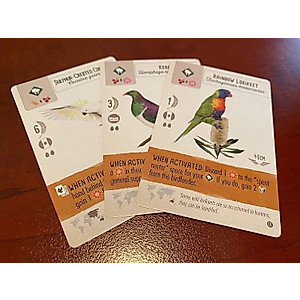 Stonemaier Games: Wingspan Oceania Expansion | Add to Wingspan (Base Game) | includes New Player Mats, Food, and Egg Color | 95 Unique New Birds | Cooperative Mode | 1-5 Players, 70 Mins, Ages 14+