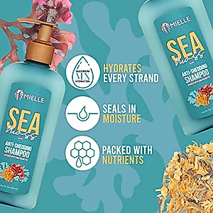 Mielle Organics Sea Moss Anti-Shedding Shampoo
