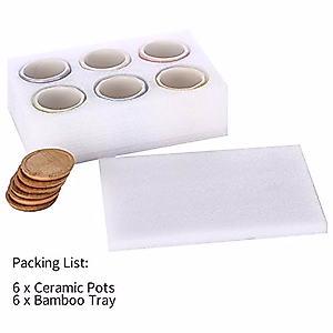 Brightdeco Ceramic Succulent Plant Pots Set of 6 - Small Succulent Pots with Drainage Hole Mini Pots for Indoor Plants Ceramic Planter with Bamboo Saucers Home Decor Rhombic