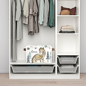 SunFancy Watercolor Dragon Egg Personalized Storage Box Baskets Wardrobe Cubes Basket Box for Pet Room Home Office Kitchen 2 Packs