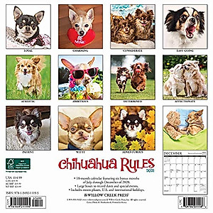 Chihuahua Rules 2021 Wall Calendar (Dog Breed Calendar)