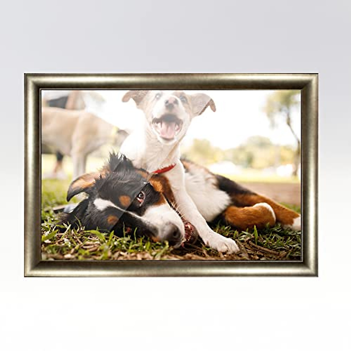 22x31 Frame Silver Real Wood Picture Frame Width 1.25 Inches | Interior Frame Depth 0.5 Inches | Florian Minimalist Photo Frame Complete with UV Acrylic, Foam Board Backing & Hanging Hardware
