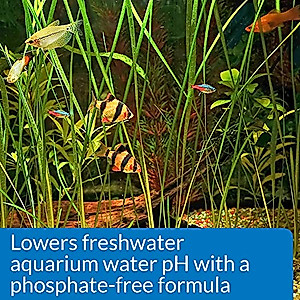 Aquarium Pharmaceuticals 30B pH Down Aquarium pH Adjuster, 16 oz., Model Number: 17163020301