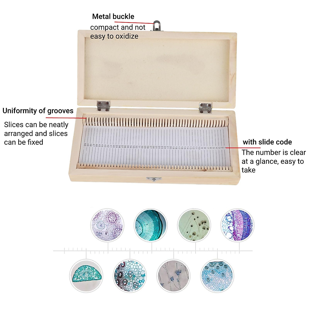 Biology Glass Prepared Microscope Slides Specimens Wooden Slide Storage Box Case