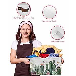 Tropical Cactus Cube Storage Organizer Bins with Handles,15x11x9.5 Inch Collapsible Canvas Cloth Fabric Storage Basket,Books Bin Boxes,Closet Green Summer Fall Succulent Plant Butter-fly 1 Pack