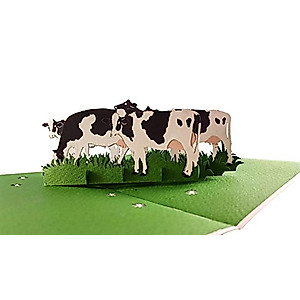 iGifts And Cards Dairy Cows 3D Pop Up Greeting Card - Cattle, Farm, Barn, Grass, Wow, Half-Fold, Happy Birthday, Friendship, Thank You, Father's & Mother's Day, All Occasions, Retirement, Welcome