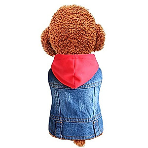 Outfit for Dog Jacket Cats for Small Cool Vest Clothing Breathable Spring Fashion Jean Shirt Pet Clothes for Small Dogs