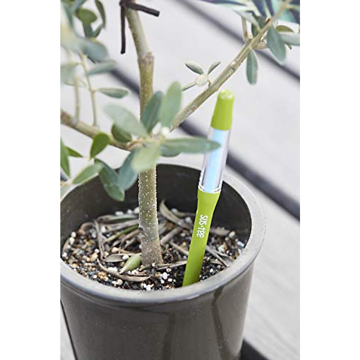 Sustee Aquameter, Set of 5, Plant Soil Moisture Sensor (Green, Small)