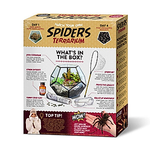 Prank Gift Box Hatch Your Own Spider Terrarium - Perfect Gag Gift and Funny White Elephant Idea