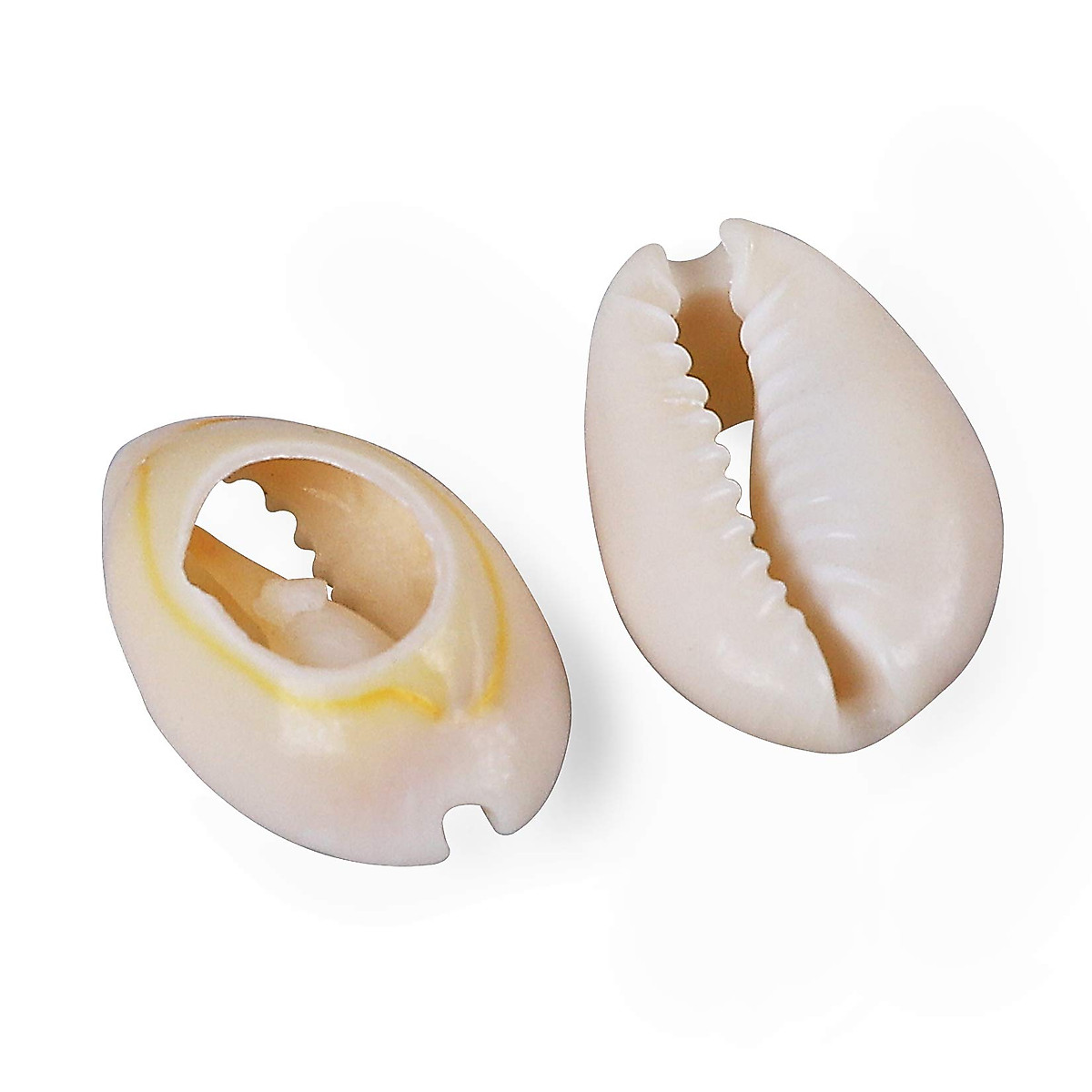 150 PCS White 0.63"-0.71" Natural Strong Cowrie Shell Beads Smooth Cut Oval Seashells, Beach Seashells with Big Hole for DIY Craft Jewelry Making, Adorning Hair Locks and Braids