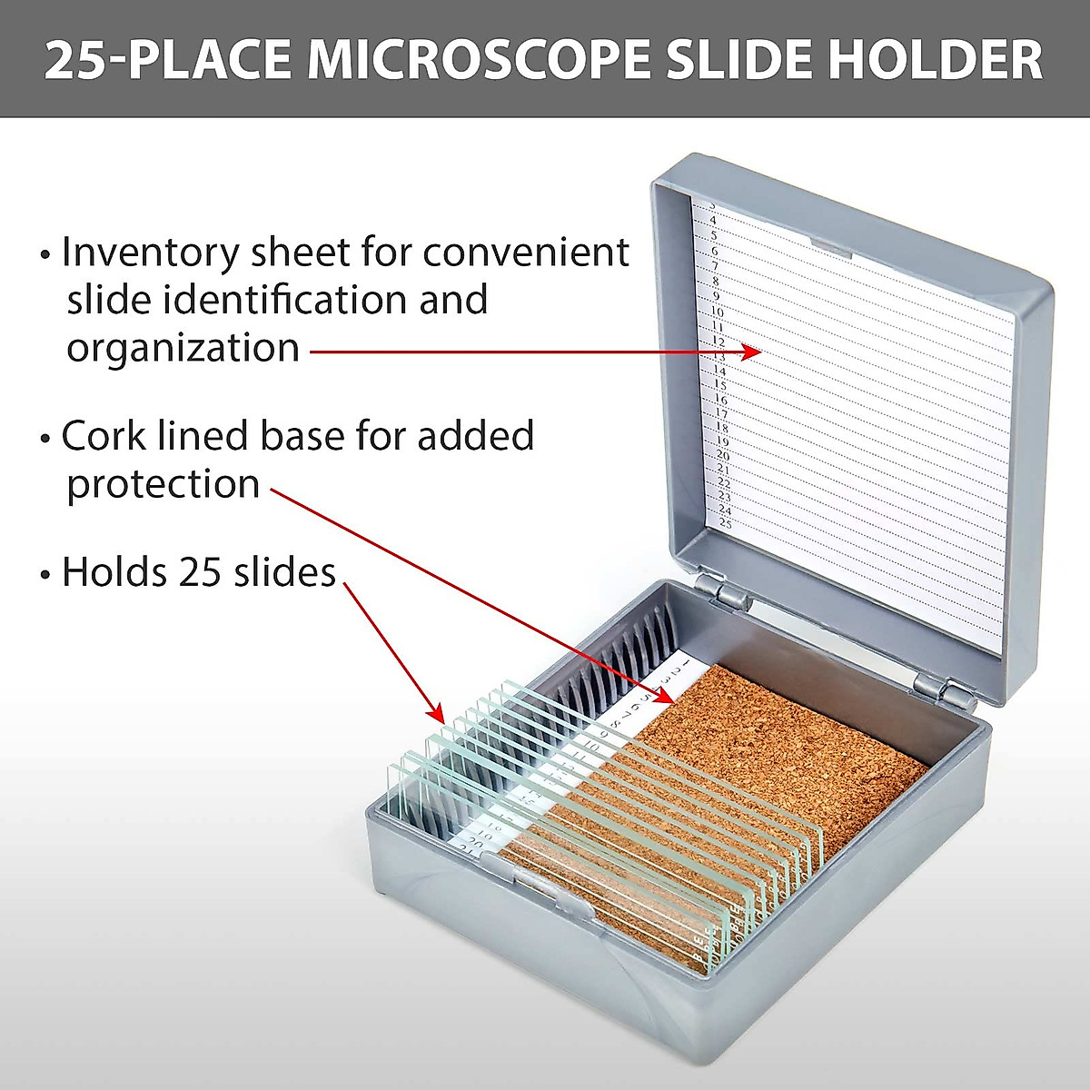 Globe Scientific 513075A ABS Plastic Cork Lined Slide Storage Box for 25 Slides, Gray