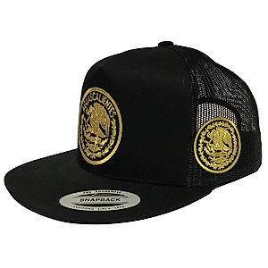 Aguascalientes Logo Federal 2 Logos 2’’ ÁGUILA A LADO HAT Black MESH