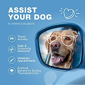 Hemp Calming Chews for Dogs - Dog Calming Treats - Anxiety Relief for Dogs - L-Theanine, Chamomile Extract, Valerian Root - Dog Anxiety Relief for Vet Visits, Travel, Thunderstorms, Nail Trimming