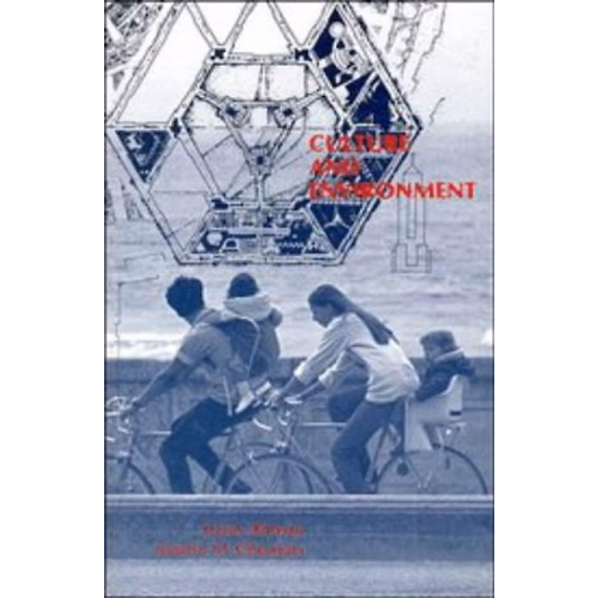 Culture and Environment (Environment and Behavior)