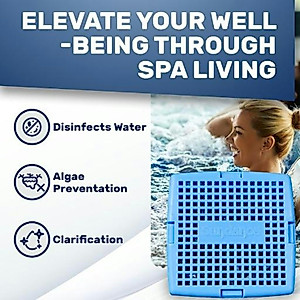 Sundance Spa Sunpurity