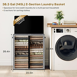 SOLEDI Luxury Double Laundry Hamper with Lid and Handle, Laundry Basket 2 Section with Removable bag, Collapsible Dirty Clothes Hampers for Laundry, Bedroom, Dorm, College