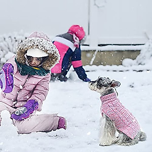 BEAUTYZOO Small Dog Sweater -Turtleneck Pullover Classic Cable Knit Fuzzy Winter Coat Dog Cold Weather Clothes for Small Medium Dogs Puppy Girl Boys(Gradient Rose, XXS)