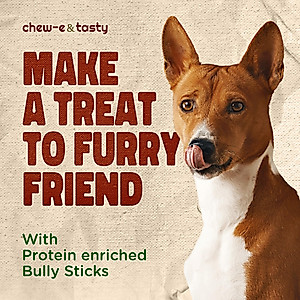 chew-e&tasty 12" Giant Odor Free Bully Sticks (Pack of 5) - Long Lasting Beef Chews for Power Chewers Made of Digestible High Protein & Low Fat Dental Treats Bully Sticks for Large to Very Large Dogs