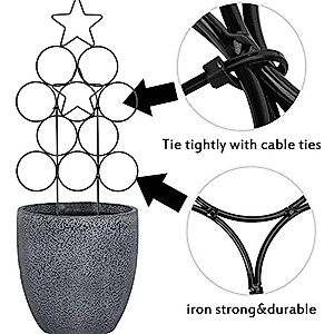 Metal Plants Climbing Trellis Wrought Iron Bonsai Plant Support Holder for Indoor Outdoor Garden Rose Flower Vine Stand Metal Trellis Indoor