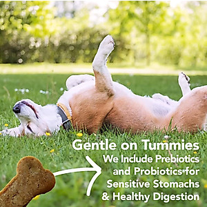 Marcy's Pet Kitchen- All Natural, Crunchy, Peanut Butter Dog Treats - Vet Approved- Homemade - Vegan, Gluten Free, Human Grade Ingredients - Crunchy-Made in The USA, Healthy Peanut Butter Dog Treats