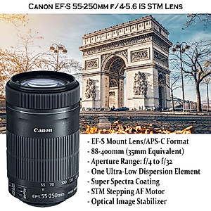 Canon EOS Rebel T7 DSLR Camera with 18-55mm is II Lens Bundle + Canon EF-S 55-250mm STM Lens and 500mm Preset Lens + 32GB Memory + Filters + Monopod + Spider Flex Tripod + Professional Bundle