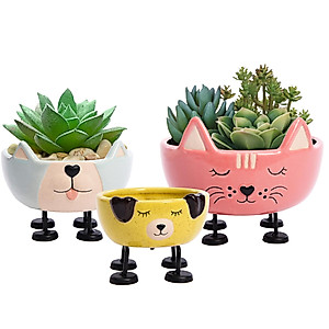 Pointnio Cute Plant Pots,Ceramic Garden Pots,Plant Gifts for Woman,Planters for Indoor Plants.Small Pots for Plant.Spring Flower Pots.Spider,Succulent Pots 6"+4.8"+4" Set of 3