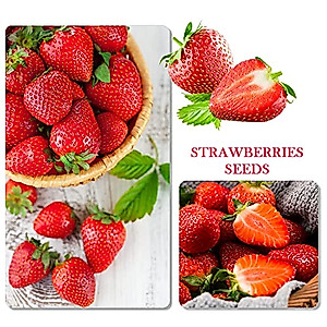 1100pcs Mixed Fruit Seeds Berry Seeds for Planting 200pcs Strawberry 200pcs Raspberry 200pcs Mulberry 200pcs Blueberry 200pcs Elderberry 10pcs Cherry - Individually Packaged