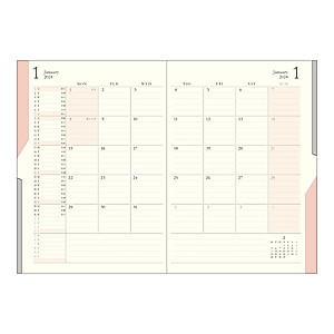Midori 22266006 Double Schedule Planner, 2024, B6, Monthly Money, Pink (Starts October 2023) (teal)