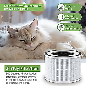 Kedume H13 True HEPA Filter Replacement for Afloia Fillo/Halo/Mooka Allo,Tertiary Filtration with Afloia Air Purifier Filter Replacement, White