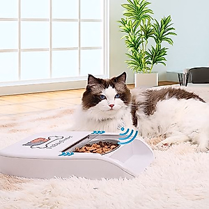 FurBabyFeeder Automatic Microchip Pet Feeder - Uses RFID Collar Tag - Multi-Pet - LCD Display - Suitable for Both Wet and Dry Food (White)