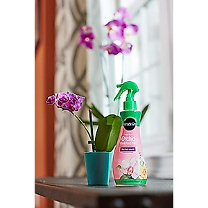 Scotts Miracle-GRO Orchid Plant Food Mist (Orchid Fertilizer), 8 oz. (6 Pack)