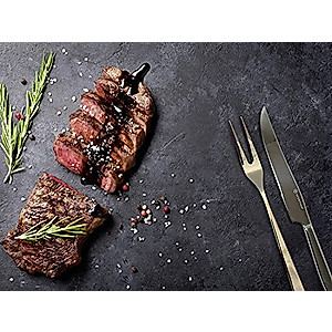 Wüsthof Stainless Steel Carving Gift Set, 2-Piece, with Storage Chest, Silver (9711-4)